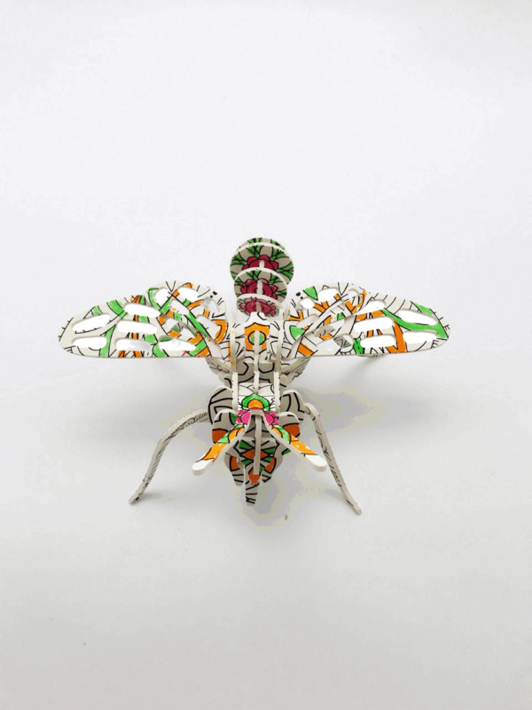 Insectos - Eureka bv